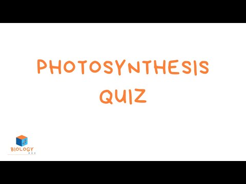 Photosynthesis Quiz (KS3 Respiration & Photosynthesis #8)