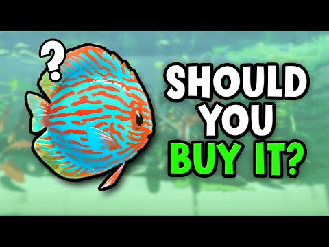 Steam Community :: Fish Game
