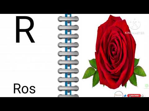 Words Starting with R:A Quick Look!" subscribe