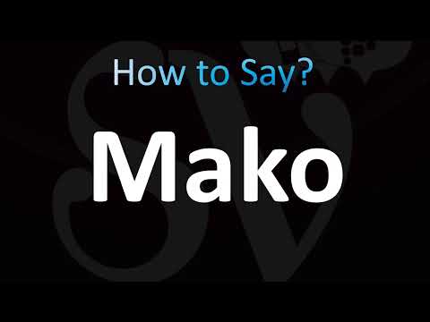 How to Pronounce Mako (CORRECTLY!)