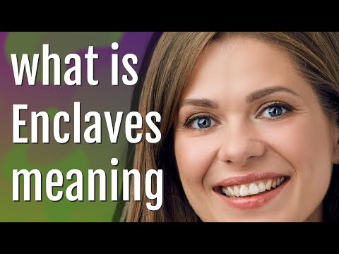 Enclaves | meaning of Enclaves