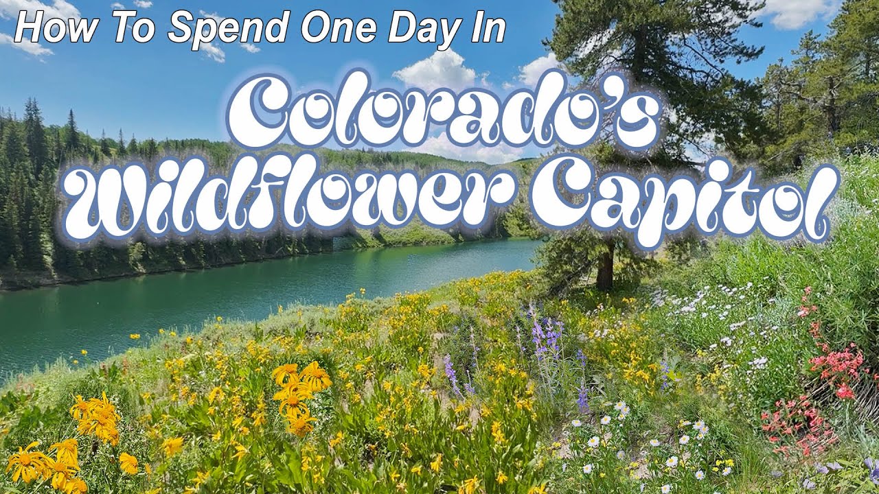 Chasing wildflowers in Crested Butte: day trip vlog