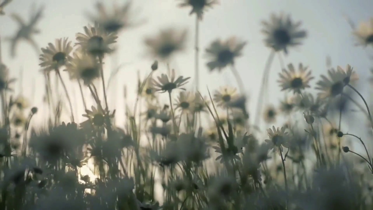 Cool Moving Wallpapers Gif