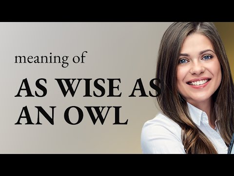 Unraveling the Wisdom in Language: Understanding "As Wise as an Owl"
