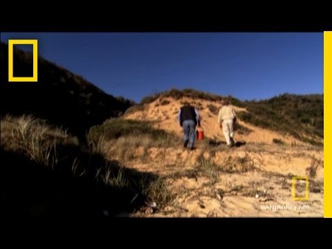 Extraterrestrial Tsunami | National Geographic