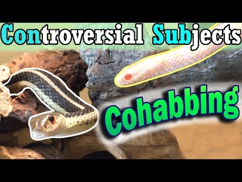 Con-Sub: Can You Cohab Snakes?