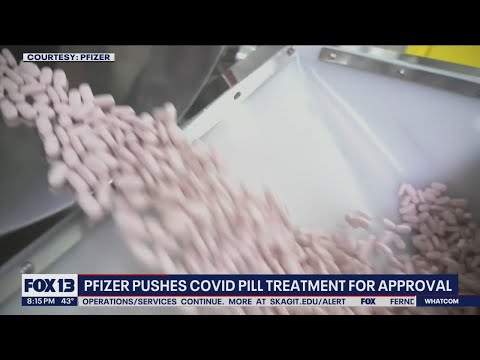 Pfizer pushes COVID pill treatment for approval | FOX 13 Seattle