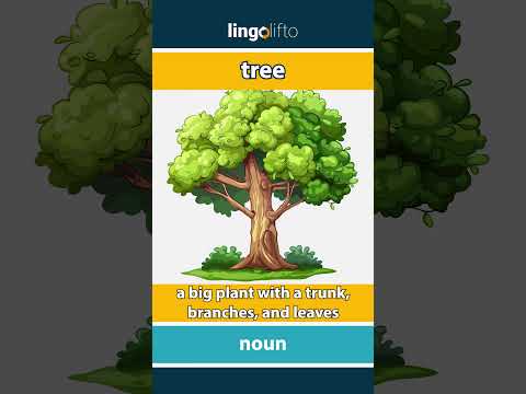 🇬🇧 Tree Meaning : Flash Card : Learn English Vocabulary
