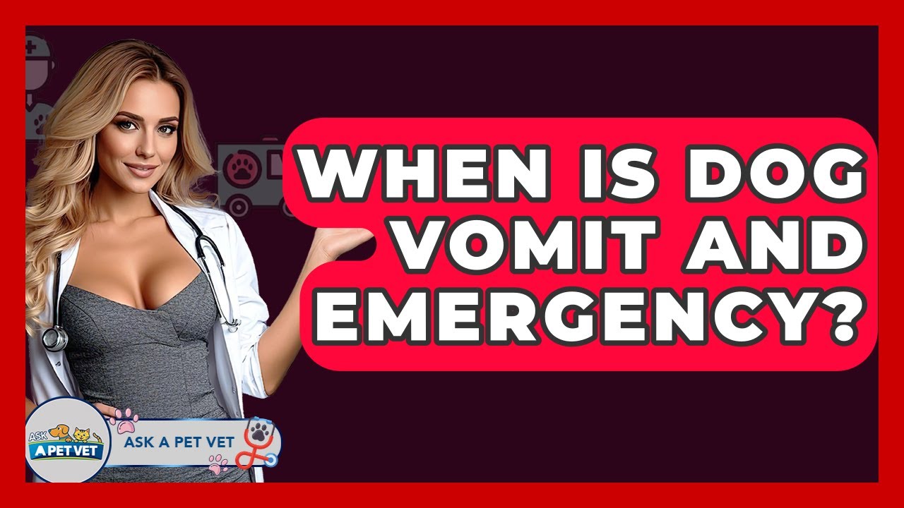 When Is Dog Vomit And Emergency? - Ask A Pet Vet