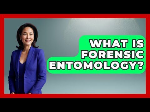 What Is Forensic Entomology? - True Crime Lovers