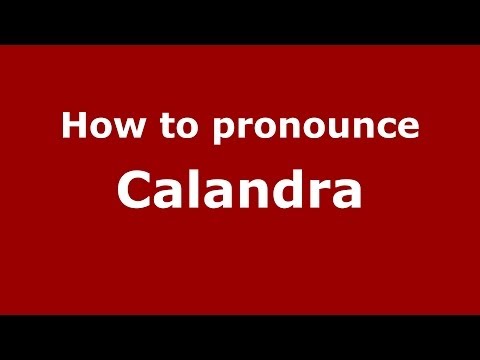 How to pronounce Calandra (Italian/Italy) - PronounceNames.com