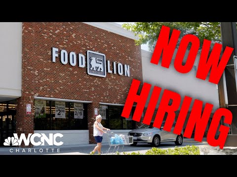 Food Lion stores hosting open interviews