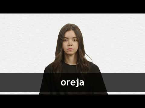 English Translation of “OREJA” | Collins Spanish-English Dictionary
