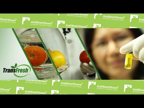 AndNowUKnow - Transfresh - Behind the Greens