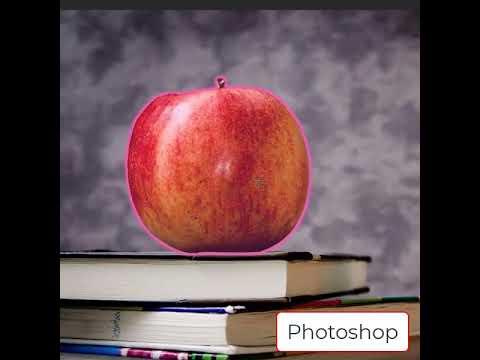 Photoshop Object Selection Tool