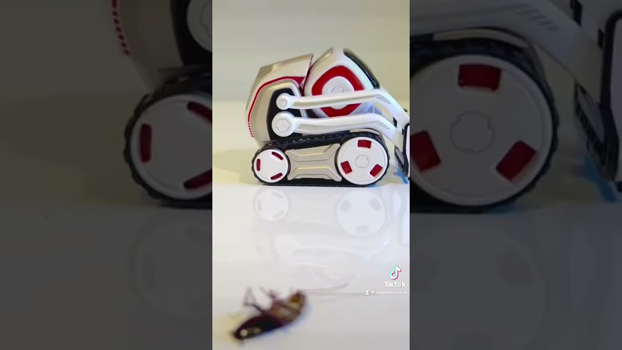 AI meets ROACH 🪳 #robot #ai #roach #pestcontrol #australia #walle #insect #bug #funnyshorts