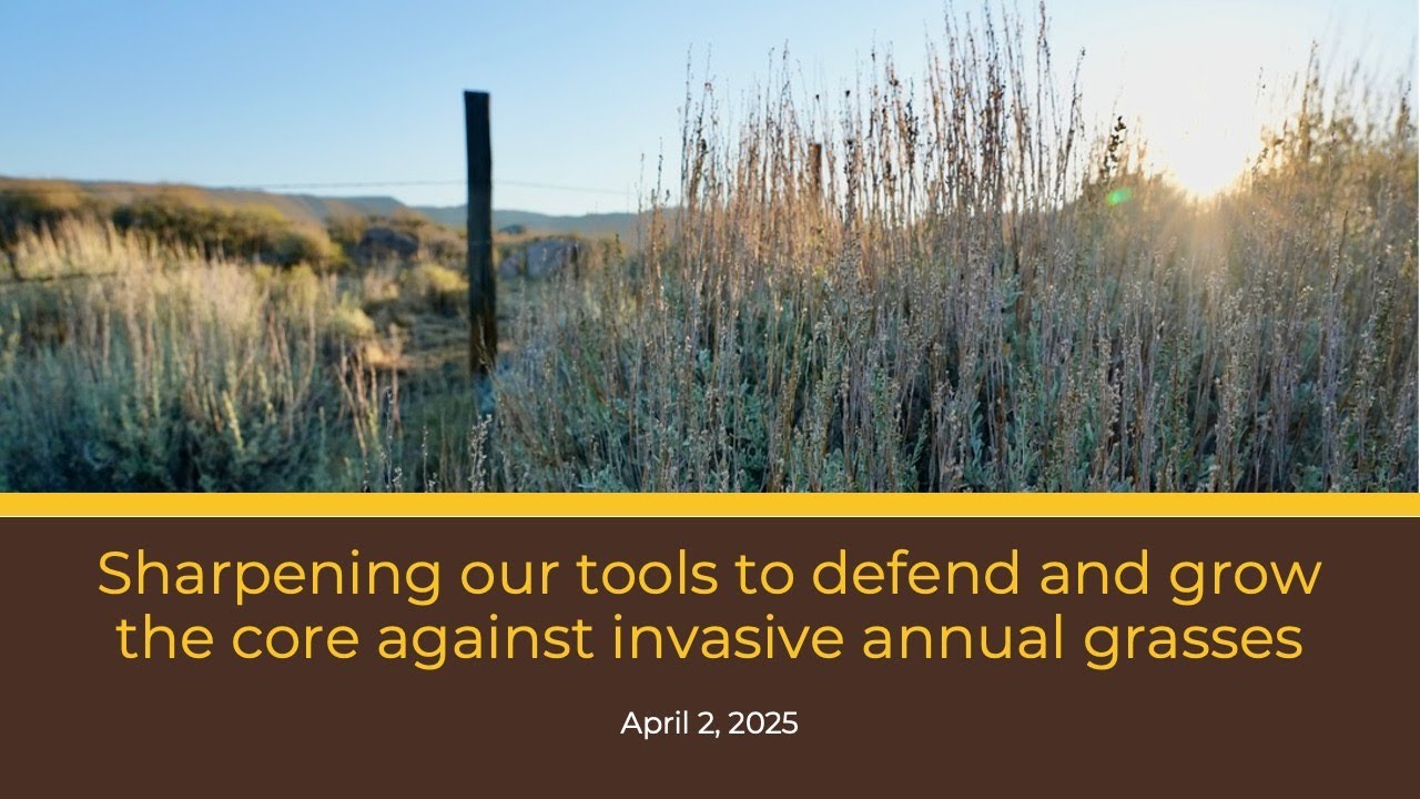 1- Introduction (2025 Virtual Workshop)