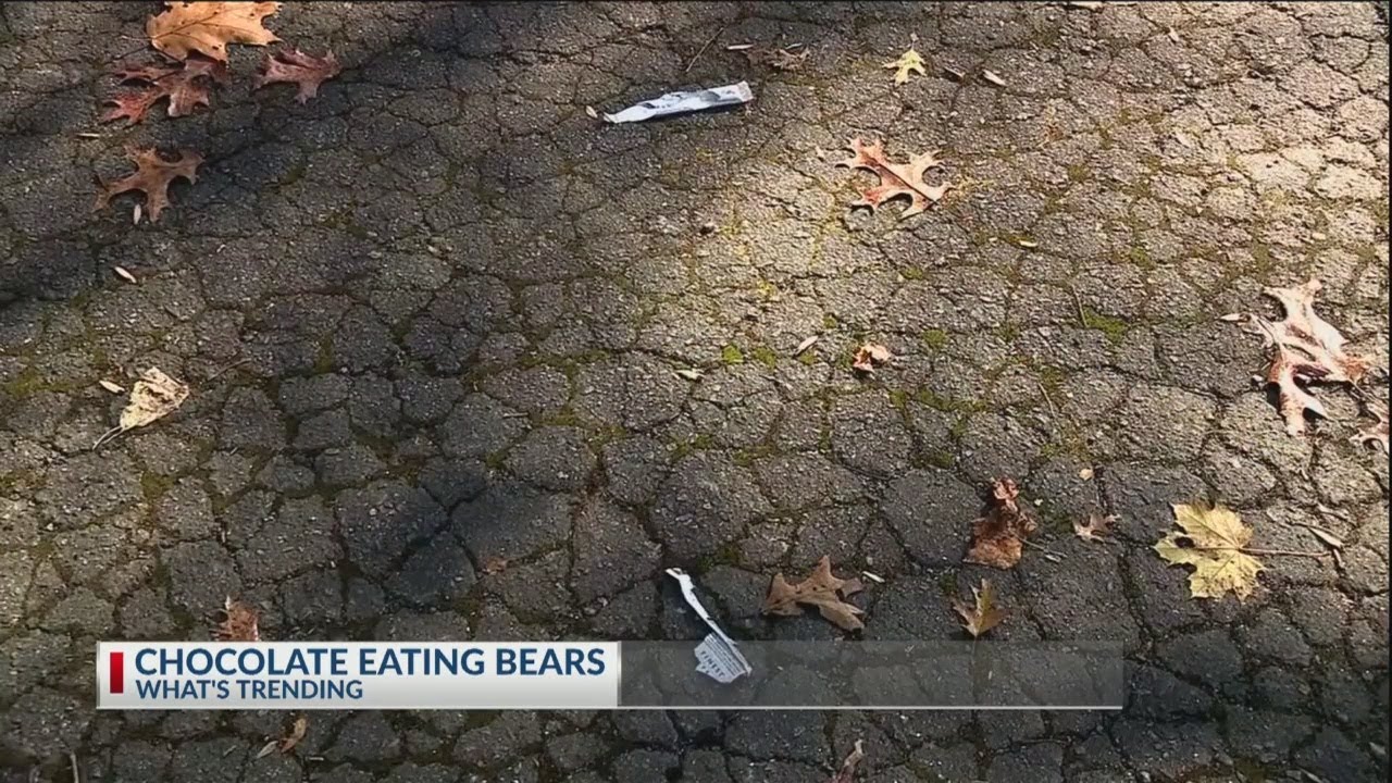 WSAV News 3 at 5:30 p.m.