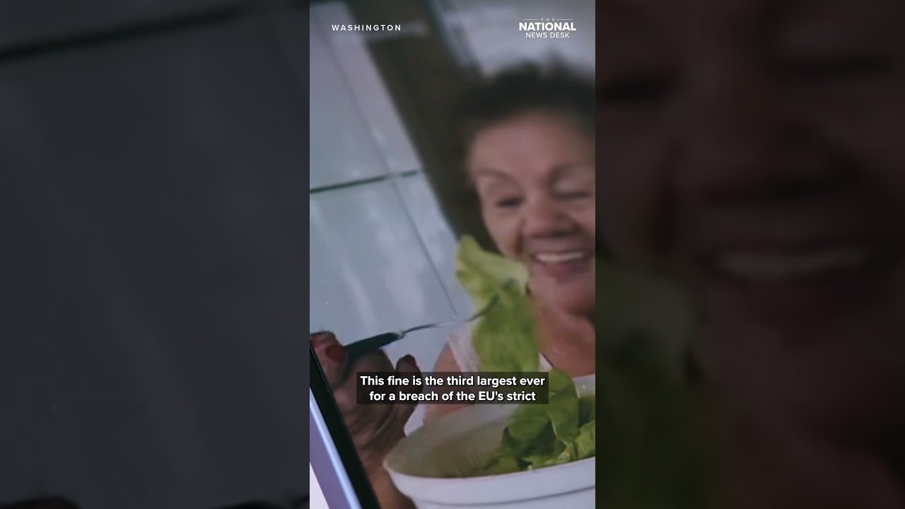 China got personal data of EU TikTok users