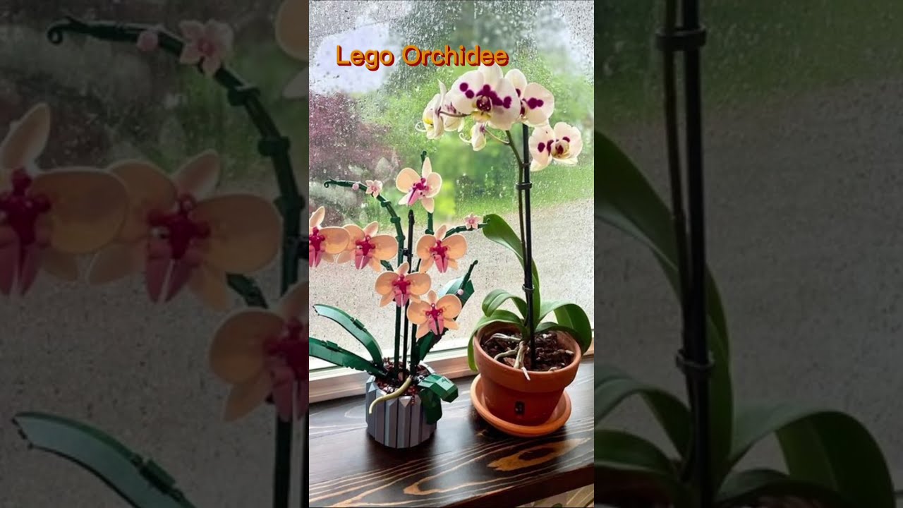 Ways to make your room cooler pt.2