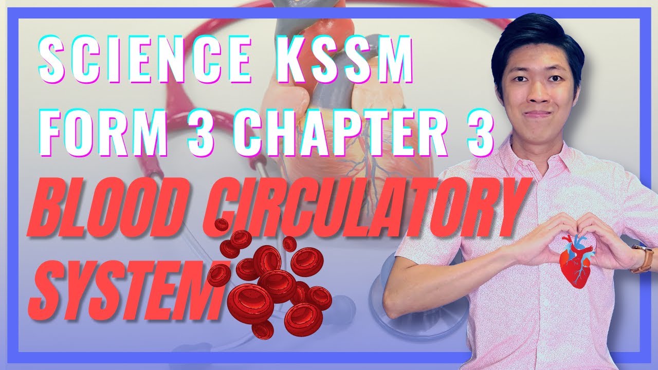 SCIENCE FORM 3 CHAPTER 3 KSSM || BLOOD CIRCULATORY SYSTEM || I CAKAP ENGLISH