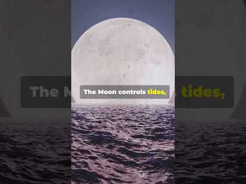 What If the MOON Suddenly Left Earth's Orbit