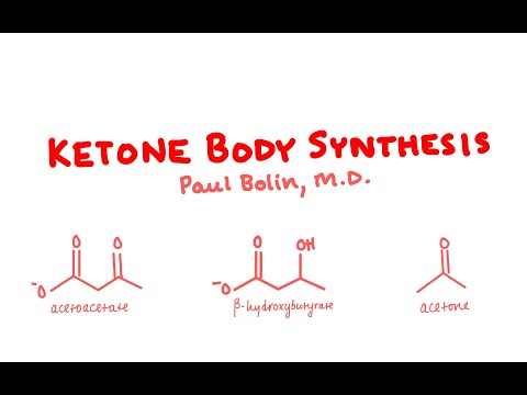 Ketone Bodies - CRASH! Medical Review Series