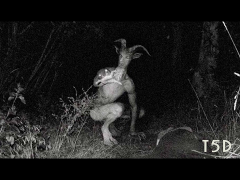The Story Of The Arizona Skinwalkers Is A Scary Urban Legend