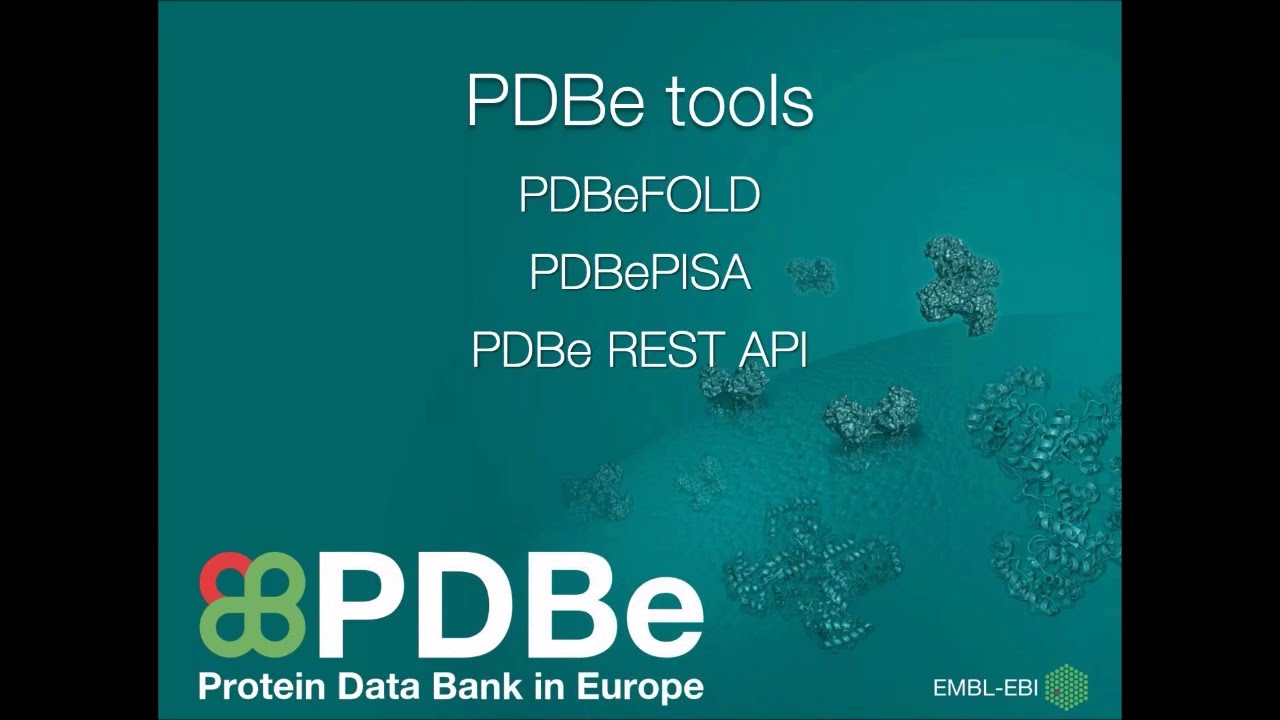 PDBe mini tutorial: Introduction to PDBe tools (PDBeFOLD, PDBePISA, PDBe API)