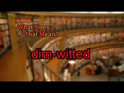 What does dim-witted mean?