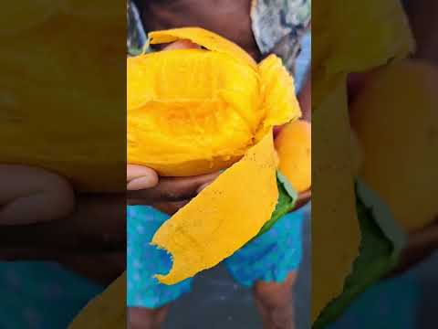 BENEFITS OF MANGOS 🥭