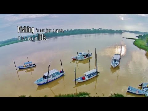 The Meaning of Fishing