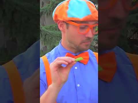 Blippi Visits a Chocolate Factory | Blippi Songs ????| Educational Songs For Kids