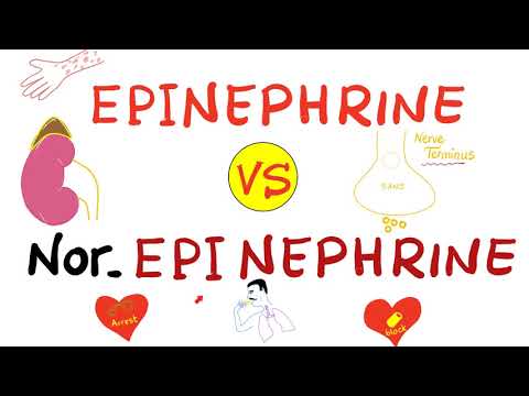 Epinephrine vs Nor-Epinephrine