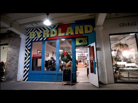 Small Business 2020 | Interview with Byrdland Records Co-Owner, Joe Lapan