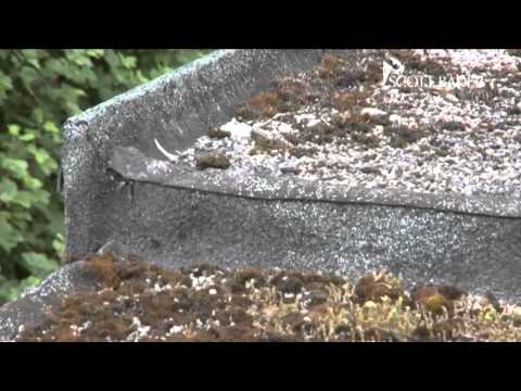Fibre Glass Roofing - CrysticRoof Overview