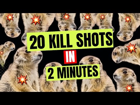 20 Kills in 2 minutes!!! [Prairie Dogs and Bonus]