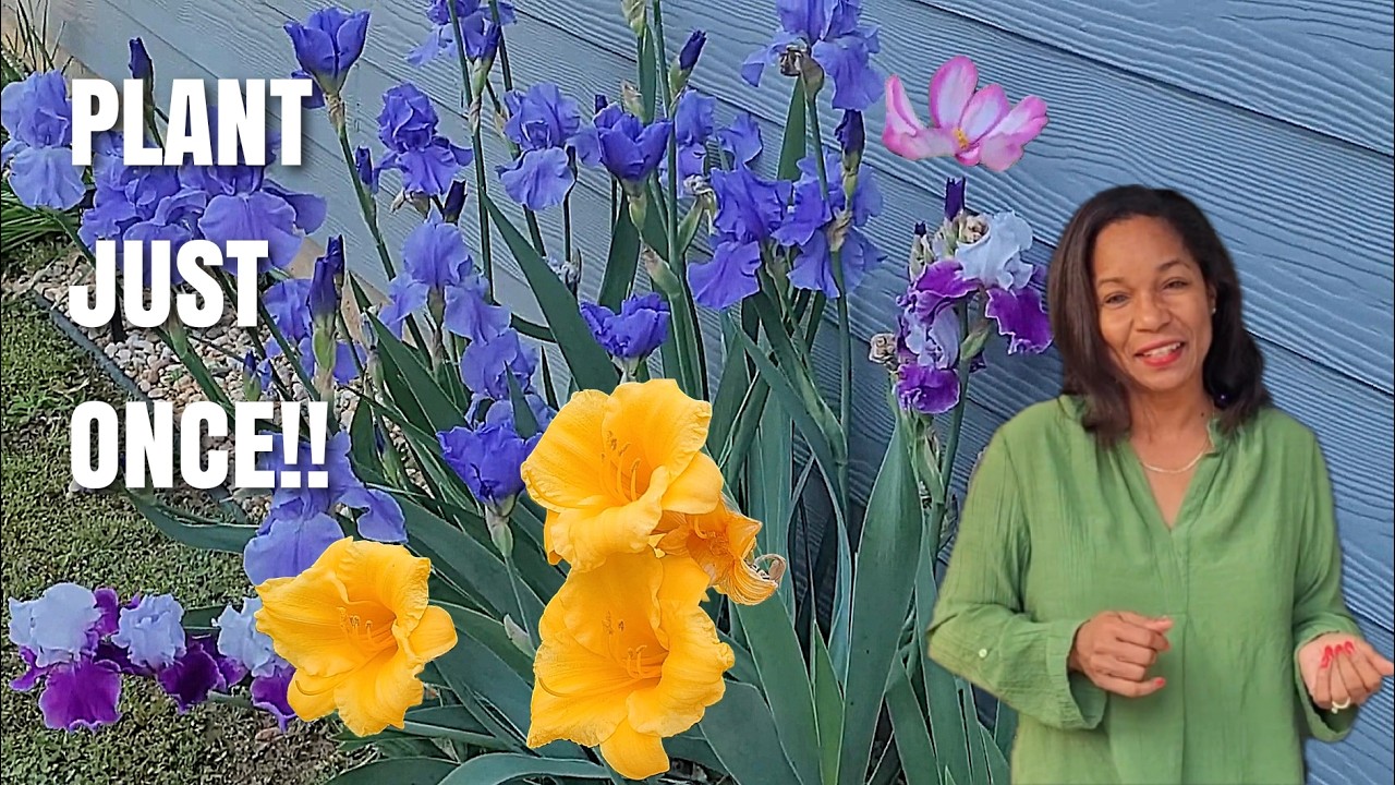 14 Beautiful Flowers You Plant Once & Enjoy for Many Years #perennials