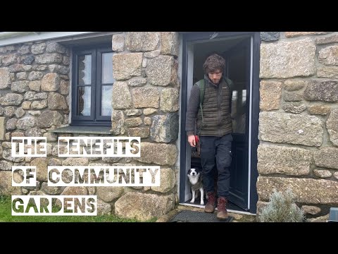 The Benefits of Community Gardens