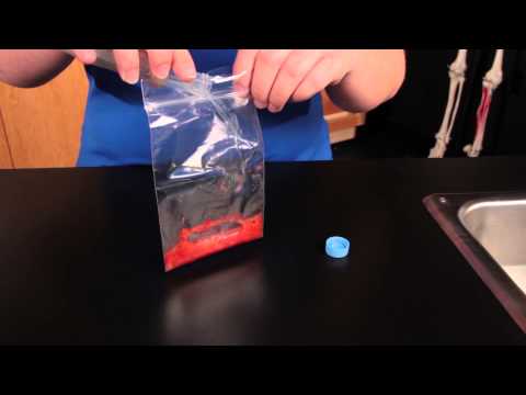 Strawberry DNA Extraction Kit