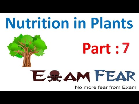 L7 : Parasitic ; insectivorous Plants - Nutrition in Plants, Science ...