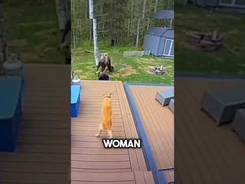 This dog saves his owner at the last moment🥺❤️#shorts