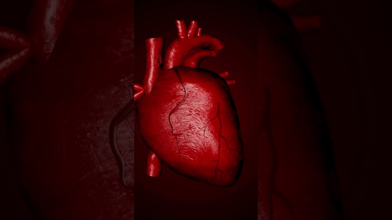 4 Types of Shock Explained in 60 Seconds | Nursing School & NCLEX Review