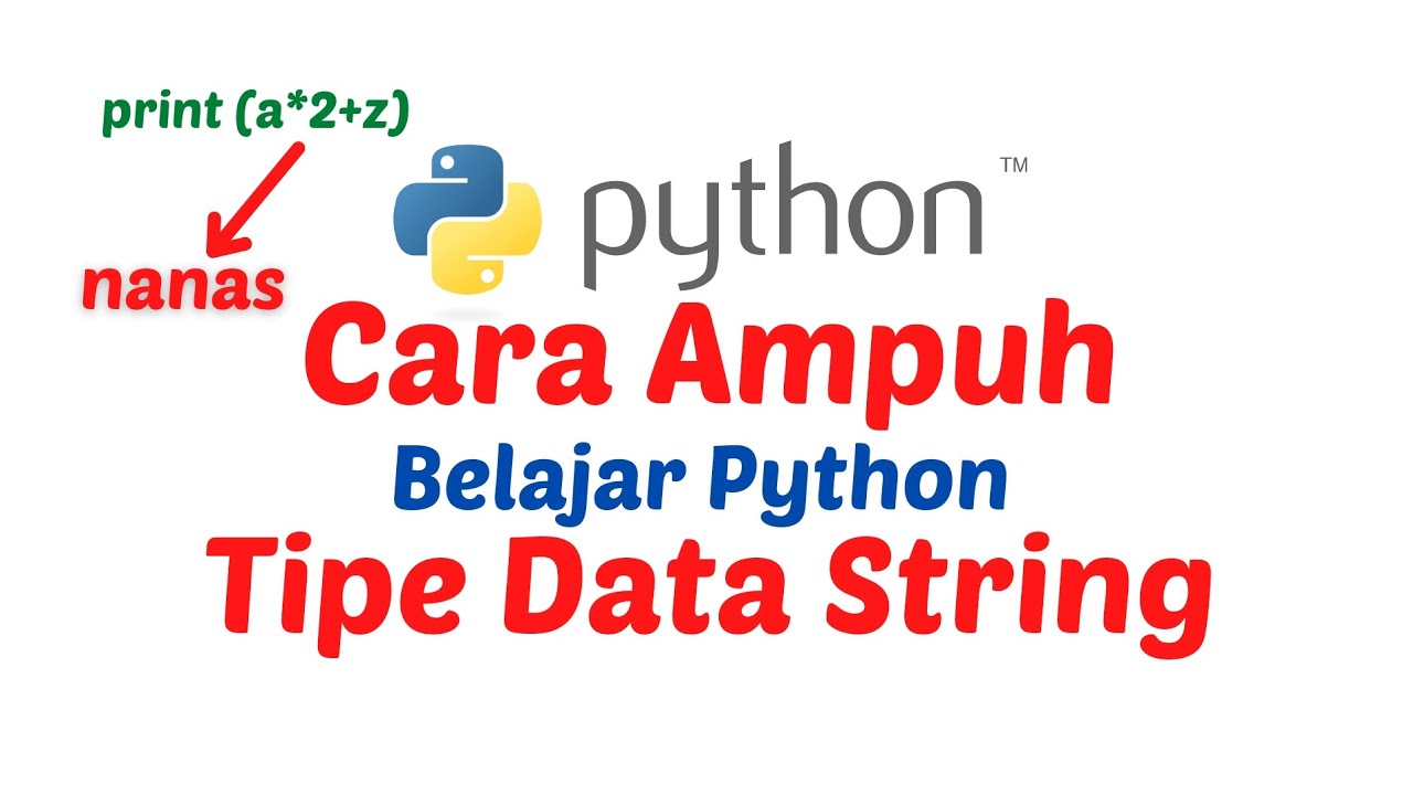 Belajar Python Pemula | Type Data String di Python, Cara python mengolah String Python Part 5