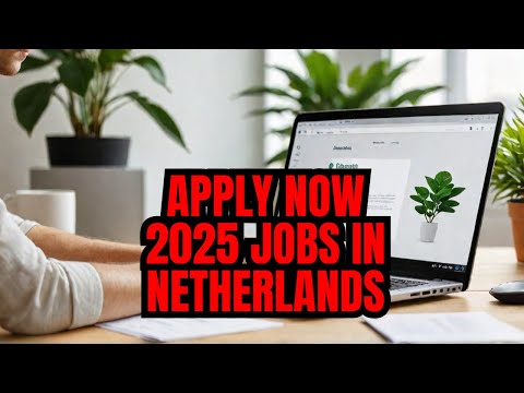 Top Jobs in the Netherlands for 2025 You Can Apply For Now!