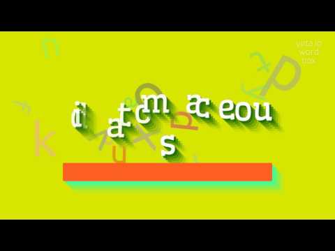 How to say "diatomaceous"! (High Quality Voices)