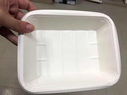 Disposable Paper Tray for Food formed machine to thailand take away container Food-Grade materials