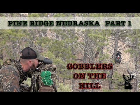 Pine Ridge Nebraska Part 1 Gobblers on The Hill