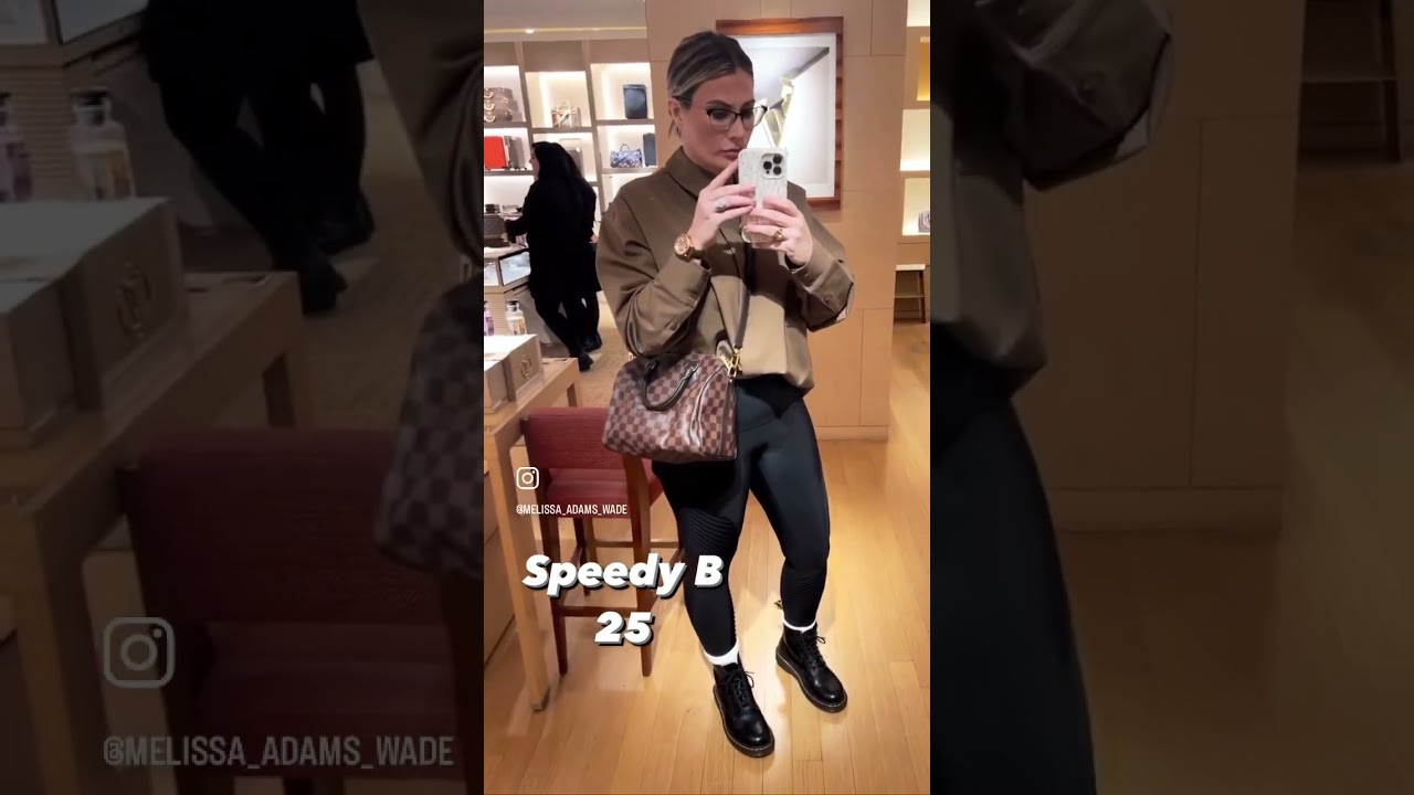 Help!!! Which Louis Vuitton Bag Would You Pick ? SPEEDY B 25 or NOE BB #luxurybags