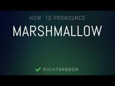 Marshmallow - How to pronounce Marshmallow